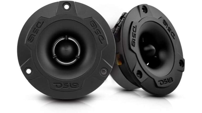 DS18 PRO-TWX1/BK Review: Car Tweeter Worth It?